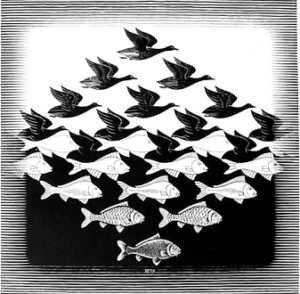 Principles of Design | Design Principles | Design Basics