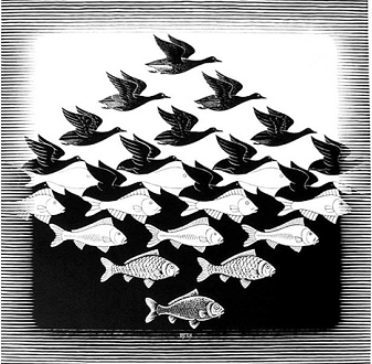 Principles of Design | Design Principles | Design Basics