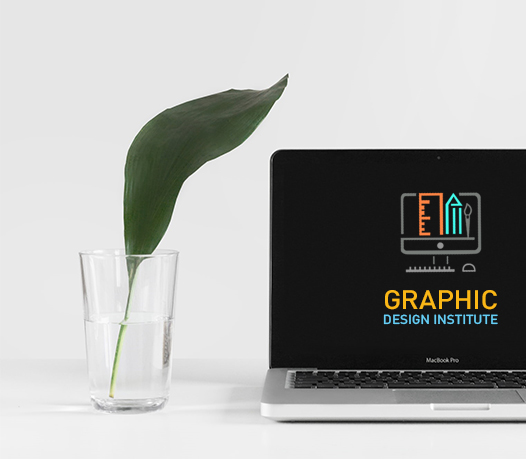 Graphic Design Training Institute in Rohini, Delhi